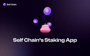 Introducing Self Chain's Staking App