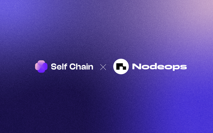 How to Run a Self Chain Validator Node with NodeOps